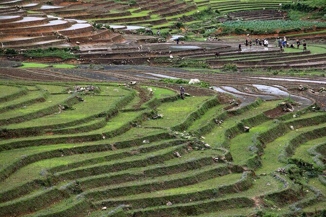 Vietnam: 14-Day Culinary Tour with Cooking Classes - The Experience: What Travelers Are Saying
