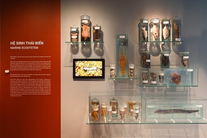 Vietnam Da Nang Museum Admission Ticket - The Sum Up