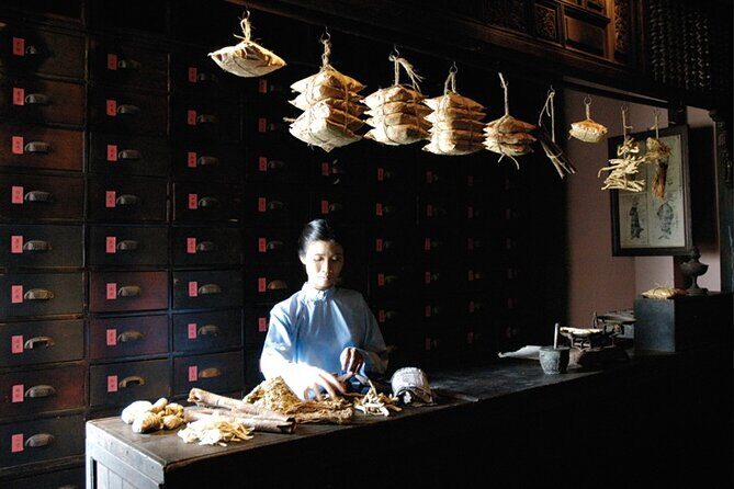 Vietnam: Fito Museum Featuring Traditional Medicine - A Closer Look at the Fito Museum Experience