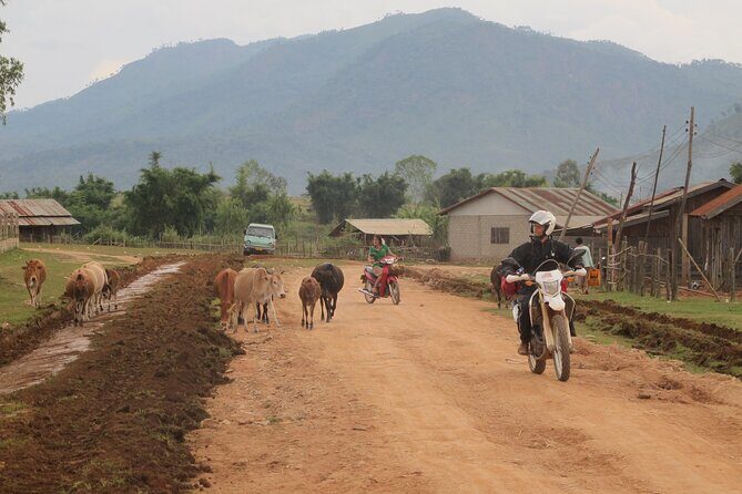 Vietnam Laos Adventure - Riding, Accommodations, and Practical Details
