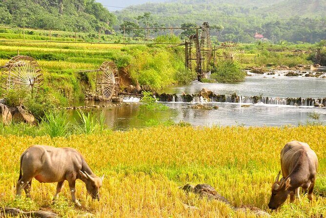 Vietnam Private Tour Explore Ethnic Culture and Nature in 15 Days - Who Would Love This Tour?