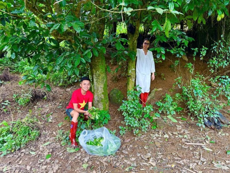 Vietnam Tea Tasting & Train Street & Lunch (Buncha & Banhmi) - Final Thoughts on the Tour’s Value