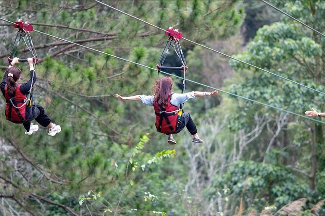 VIetnam Zipline Experience at Datanla Waterfall - Who Will Love This Experience?
