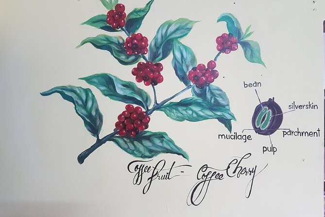 Vietnamese Coffee Master Class - What Makes This Tour Stand Out