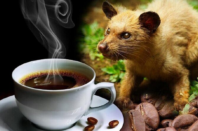 Vietnamese Culture and Coffee Making Class - The Authentic Flavor of Vietnamese Coffee in Action