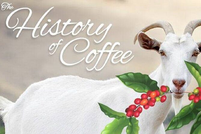 Vietnamese Culture and Coffee Making Class - The Sum Up: Who Should Consider This Tour?