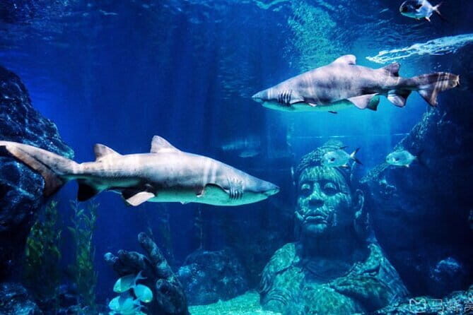 "View" Bangkok Rooftop Bar and Restaurant Dining Package - The Sum Up: Is It Worth It?