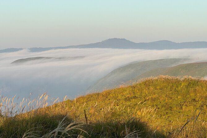 View the sunrise and sea of clouds over the Aso Caldera - Who Should Consider This Tour?