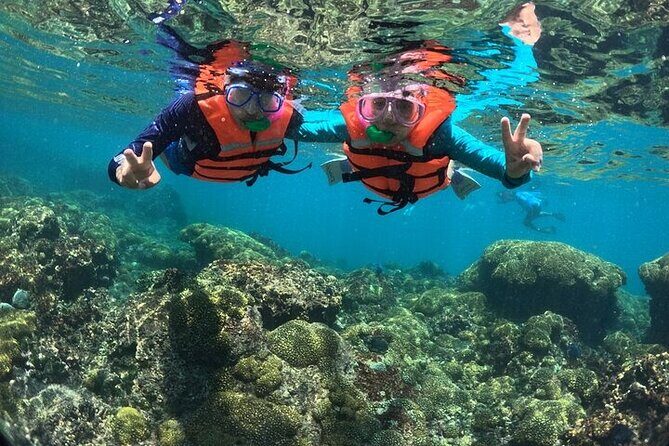 Viewpoints and Snorkeling EN Playa La Entrega - Final Thoughts