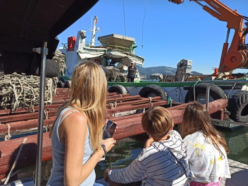 Vigo: Bay of San Simón Mussel Farming Tour - The Sum Up