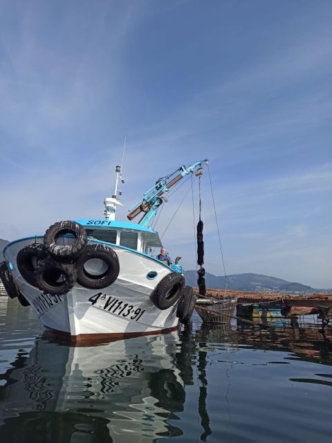 Vigo: Bay of San Simón Mussel Farming Tour - FAQs