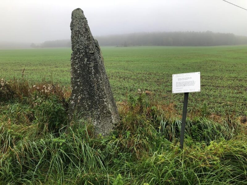 Viking History Half-Day Tour from Stockholm - Transportation, Group Size, and Comfort