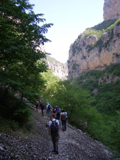 Vikos Gorge Full-Day Guided Hike - Final Thoughts: Is the Vikos Gorge Guided Hike for You?