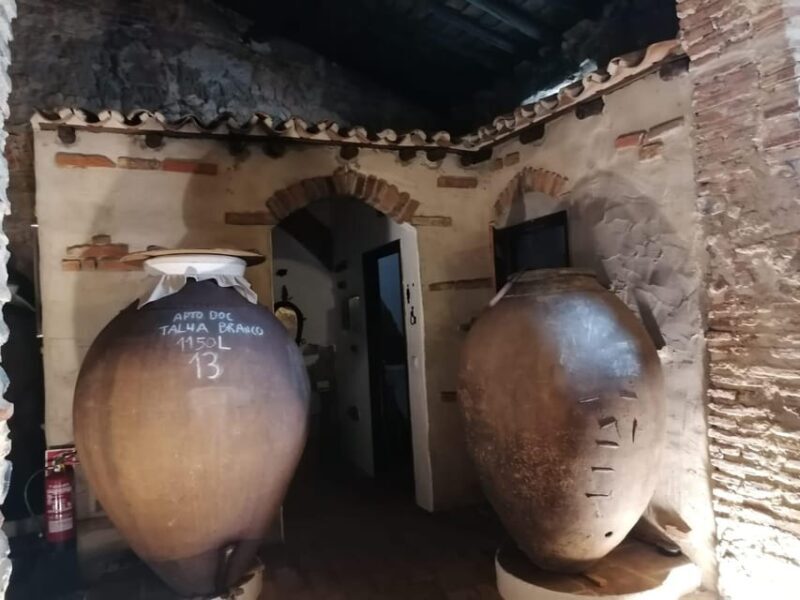 Vila de Frades: Talha Wine Tour with Tastings - Key Points
