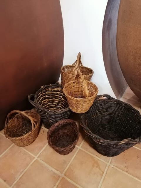 Vila de Frades: Talha Wine Tour with Tastings - Exploring the Heart of Alentejo in a Day
