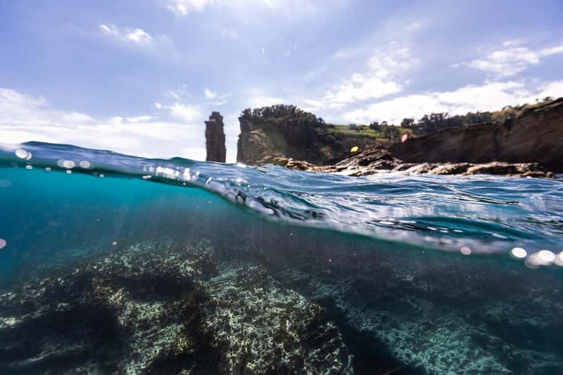 Vila Franca do Campo: Premium Kayak Rental - What Makes This Experience Special?