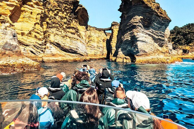 Vila Franca Islet: Biologist Guided Boat Around Eco Tour - Key Points