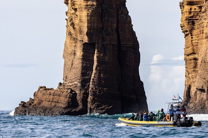 Vila Franca Islet: Biologist Guided Boat Around Eco Tour - Who Should Do This Tour?