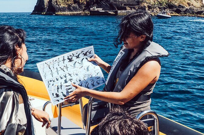 Vila Franca Islet: Biologist Guided Boat Around Eco Tour - FAQ