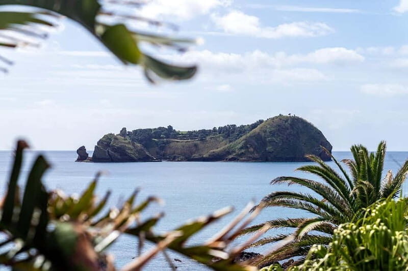 Vila Franca Islet: Inside Guided Natural Reserve Geo Tour - Who Will Enjoy This Tour?