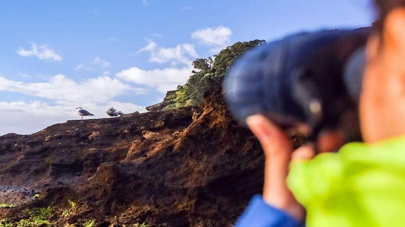 Vila Franca Islet: Inside Guided Natural Reserve Geo Tour - In The Sum Up