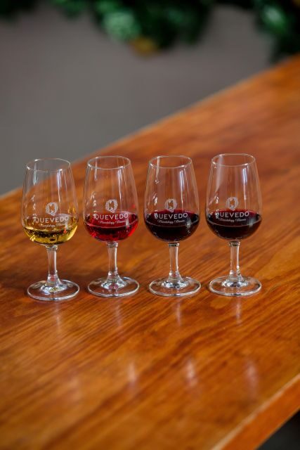 Vila Nova de Gaia: Porto Discovery Tasting - The Experience in Detail