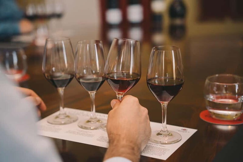 Vila Nova de Gaia: Wine Tasting Connoisseur Masterclass - An In-Depth Look at the Masterclass Experience