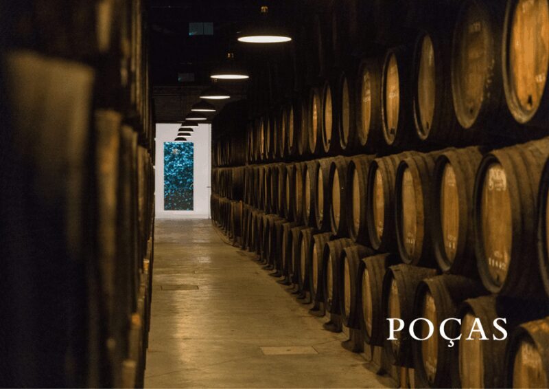 Vila Nova de Gaia: Winery Tour with 2 DOC Douro & 2 Ports - Key Points