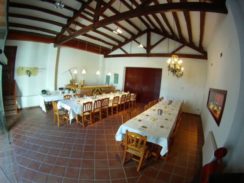 Vilafranca del Penedès: Winery Visit with Tastings - Key Points