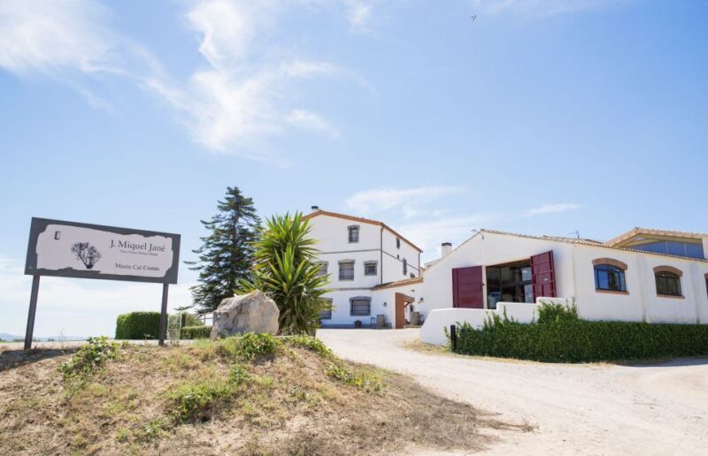 Vilafranca del Penedès: Winery Visit with Tastings - Who Would Enjoy This Tour Most?
