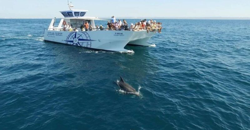 Vilamoura: Boat Tour Dolphin Quest - Introduction: What’s the Vilamoura Dolphin Quest Tour All About?
