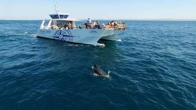 Vilamoura: Boat Tour Dolphin Quest - Detailed Breakdown of the Tour: From Departure to Return