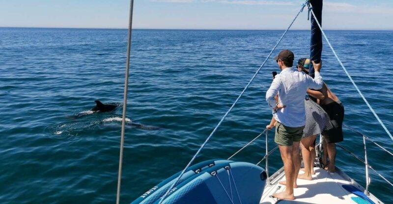 Vilamoura: Coastal Cruise on a Luxury Sailing Yacht - What to Expect on this Coastal Cruise