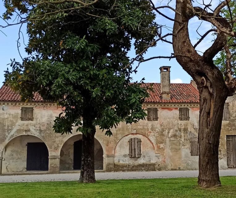 Villa Bogdano 1880: Guided Winery Tour and Tasting - Key Points