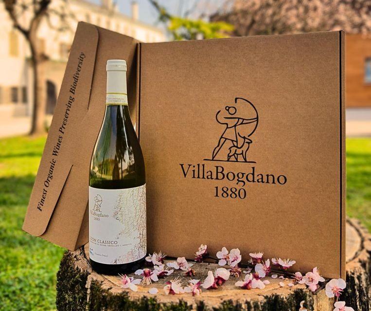 Villa Bogdano 1880: Guided Winery Tour and Tasting - Who Is This Tour Best For?