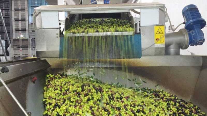 Villa Castelli: Highlights Walking Tour w/ Olive Oil Tasting - FAQ