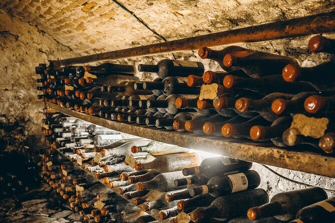 Villa Medicea Di Lilliano Tour with Wine Tasting - Who Will Love This Tour?