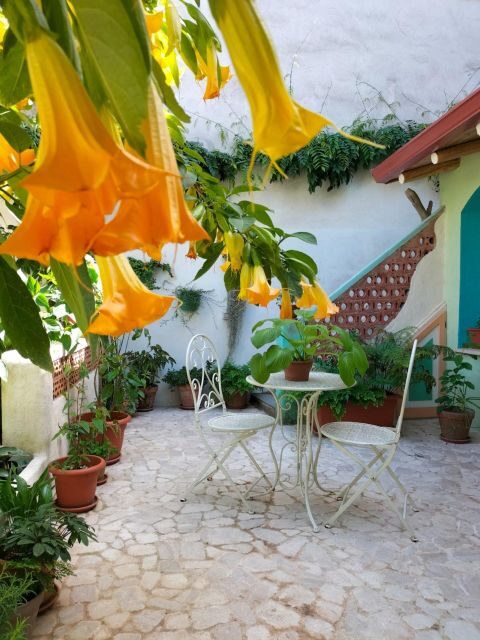 Villacidro: Sardinian weaving workshop local experience - An Authentic Journey into Sardinian Textile Traditions