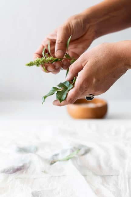 Villacidro - The Cogas ointment: the secrets of herbs - Key Points
