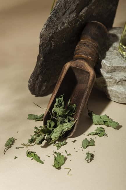 Villacidro - The Cogas ointment: the secrets of herbs - FAQ
