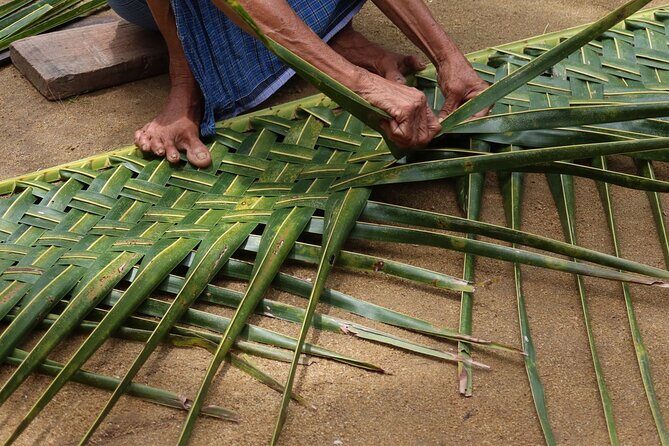 Village Backwater Punting Boat Tour From Alleppy - FAQ