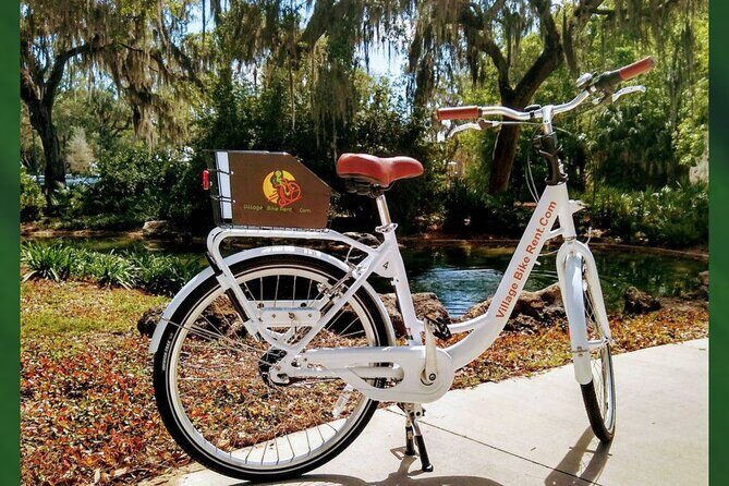 Village Bicycle Rental Free Delivery in The Villages Florida - Value and Cost Analysis