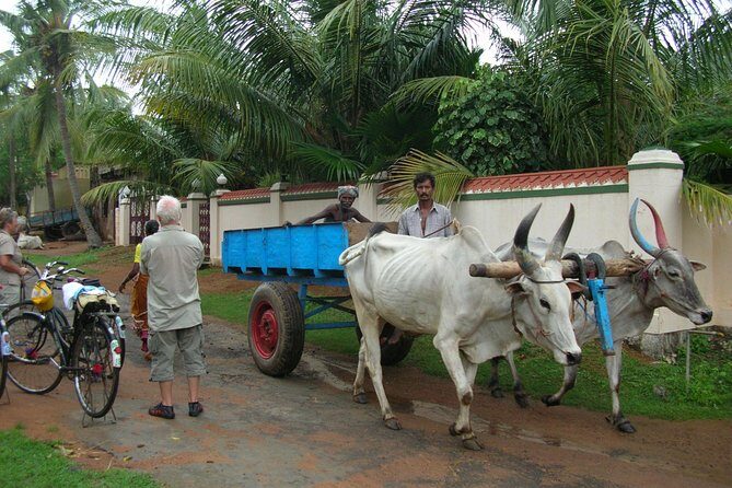 Village Biking Day Tour in Mahabalipuram - The Practicalities and What They Mean for You