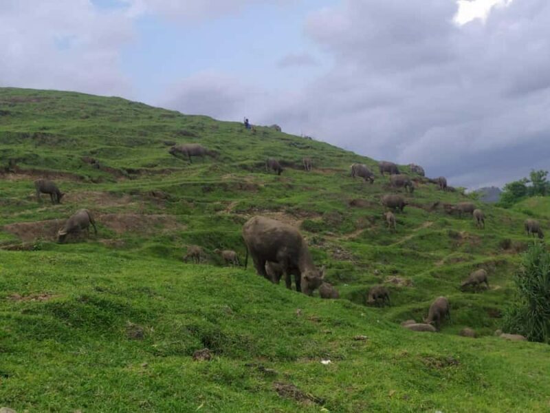 Village culture and nature sasak tour - Key Points