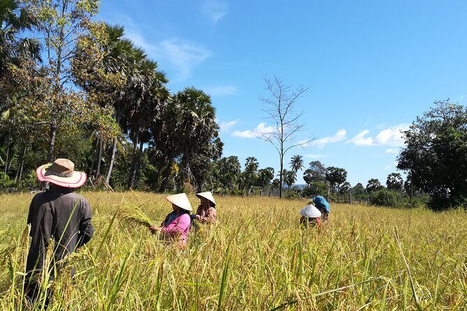 Village Experience Biking - Cycling Through Local Markets and Farms