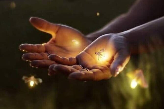 VIllage Firefly Night Tour - Ubud Bali - Key Points