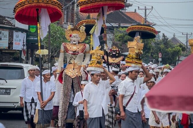 VIllage Firefly Night Tour - Ubud Bali - A Detailed Look at the Village Firefly Night Tour