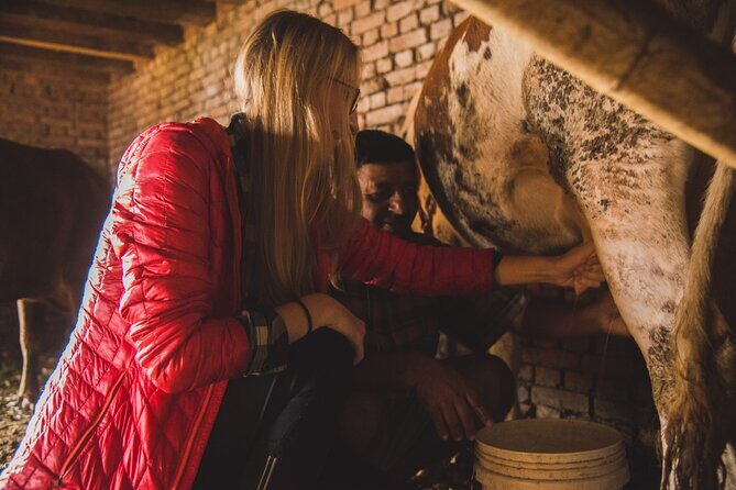 Village life experience in Patlekhet - How the Itinerary Breaks Down