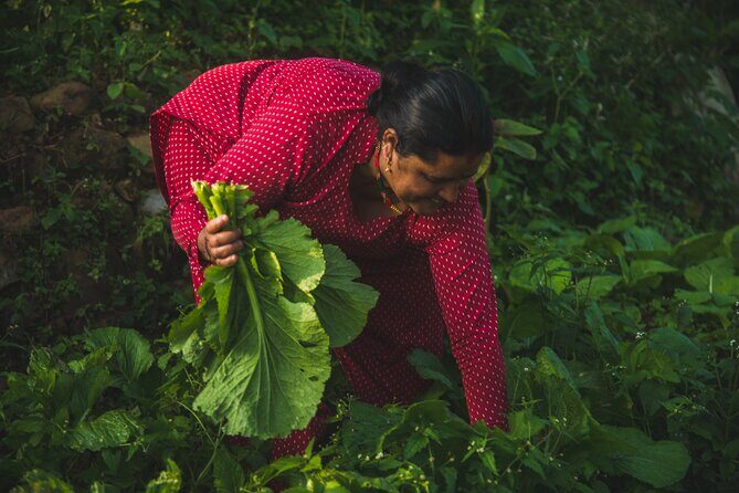 Village life experience in Patlekhet - What Makes This Tour Special?
