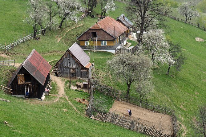Village life in Transylvanian Carpathian mountains - 8 days - Discovering the Village Life in Transylvanian Carpathians—An 8-Day Travel Experience